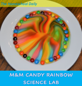 M&M CANDY RAINBOW LAB - The Homeschool Daily