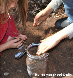 All About Earthworms for Kids - The Homeschool Daily