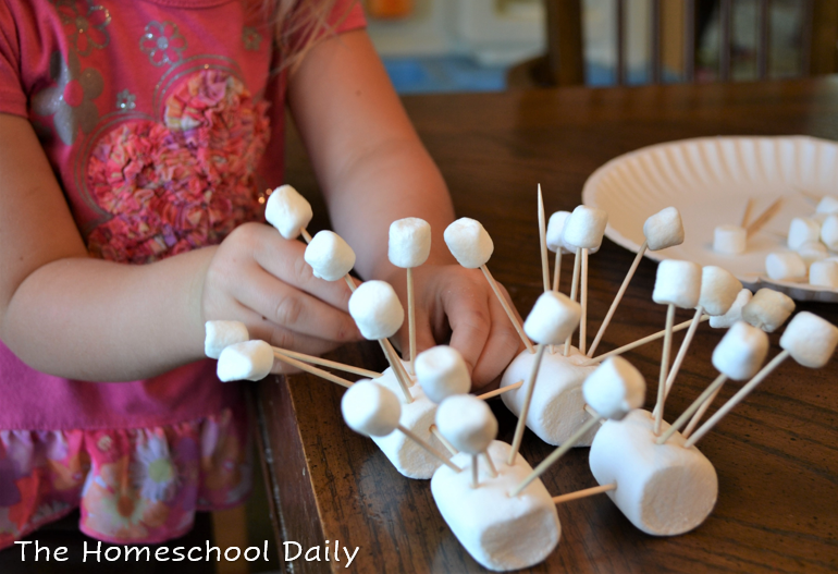 Marshmallow Marvel STEAM LAB - The Homeschool Daily