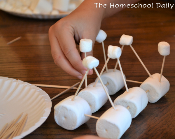 Marshmallow Marvel STEAM LAB - The Homeschool Daily