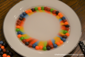 M&M CANDY RAINBOW LAB - The Homeschool Daily