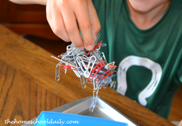 Properties of Magnets Unit - The Homeschool Daily