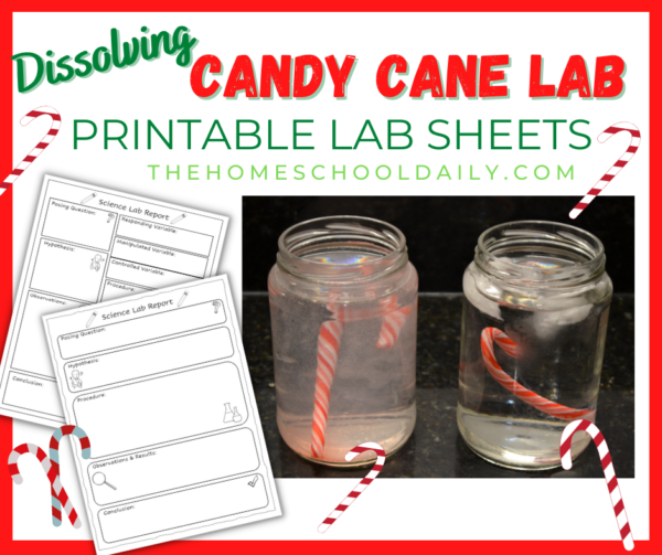 Candy Cane Printables - The Homeschool Daily