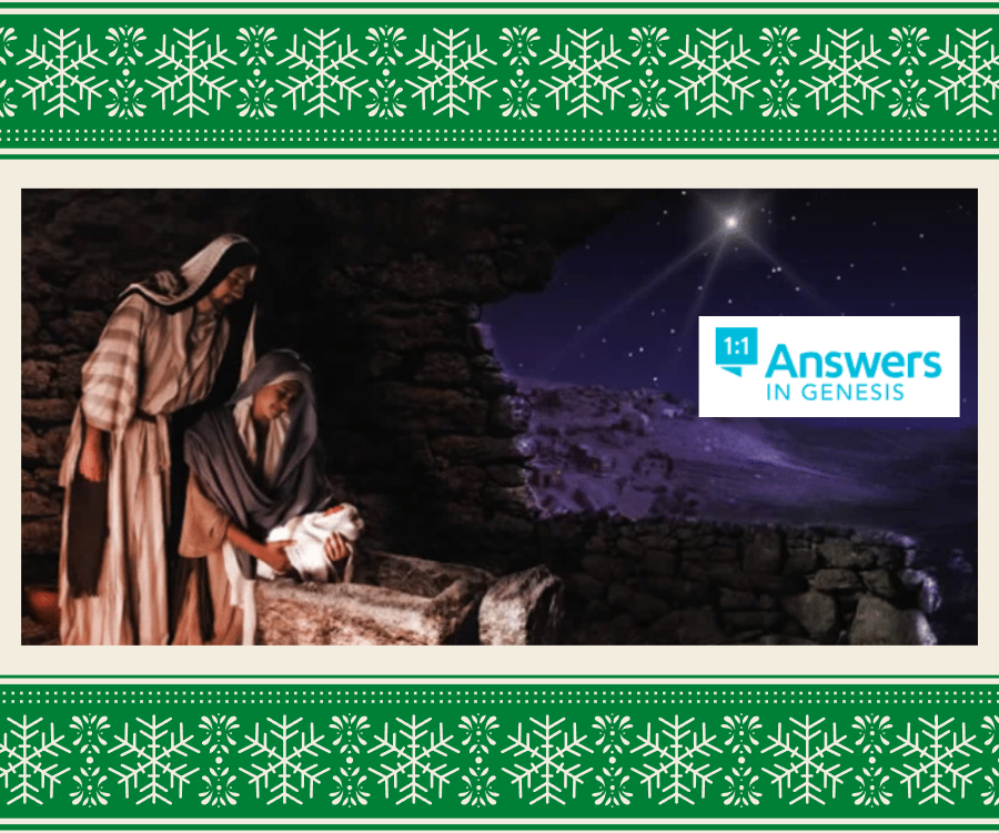 Christmas Unit - The Homeschool Daily