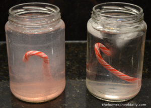 Dissolving Candy Cane Lab & Observation Sheet - The Homeschool Daily