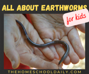 All About Earthworms for Kids - The Homeschool Daily