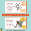 Spiders PowerPoint & Printables Pack - The Homeschool Daily