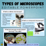 Types of Microscopes Pack - The Homeschool Daily