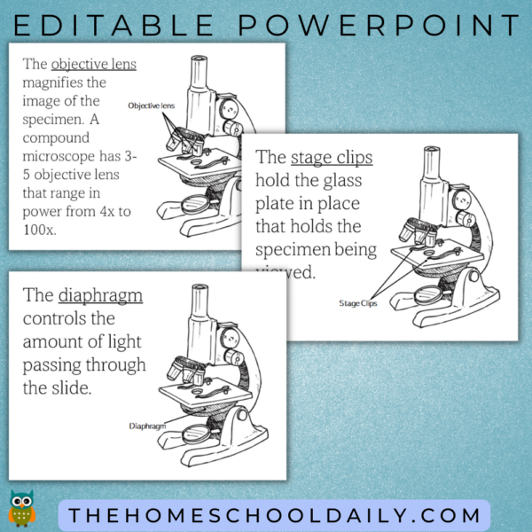 Parts of a Microscope Pack - The Homeschool Daily