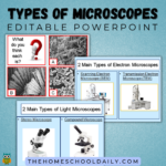 Types of Microscopes Pack - The Homeschool Daily