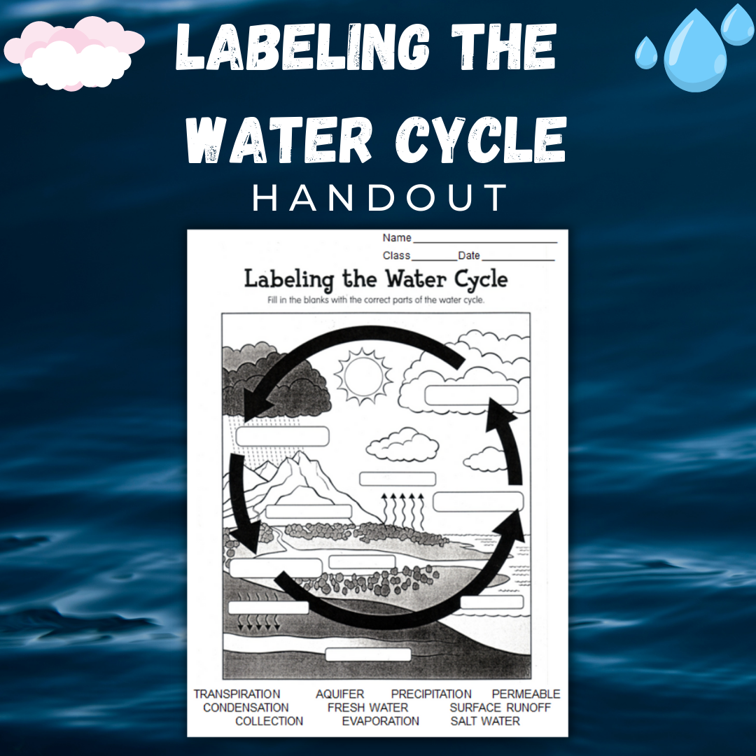 Water Cycle PowerPoint & Printables - The Homeschool Daily