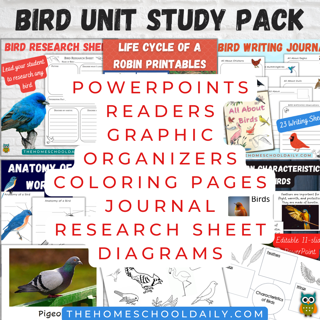 Bird Unit Study Pack - The Homeschool Daily