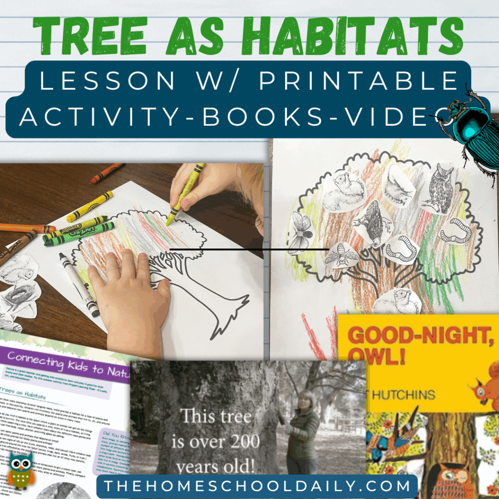 Trees as Habitats - The Homeschool Daily